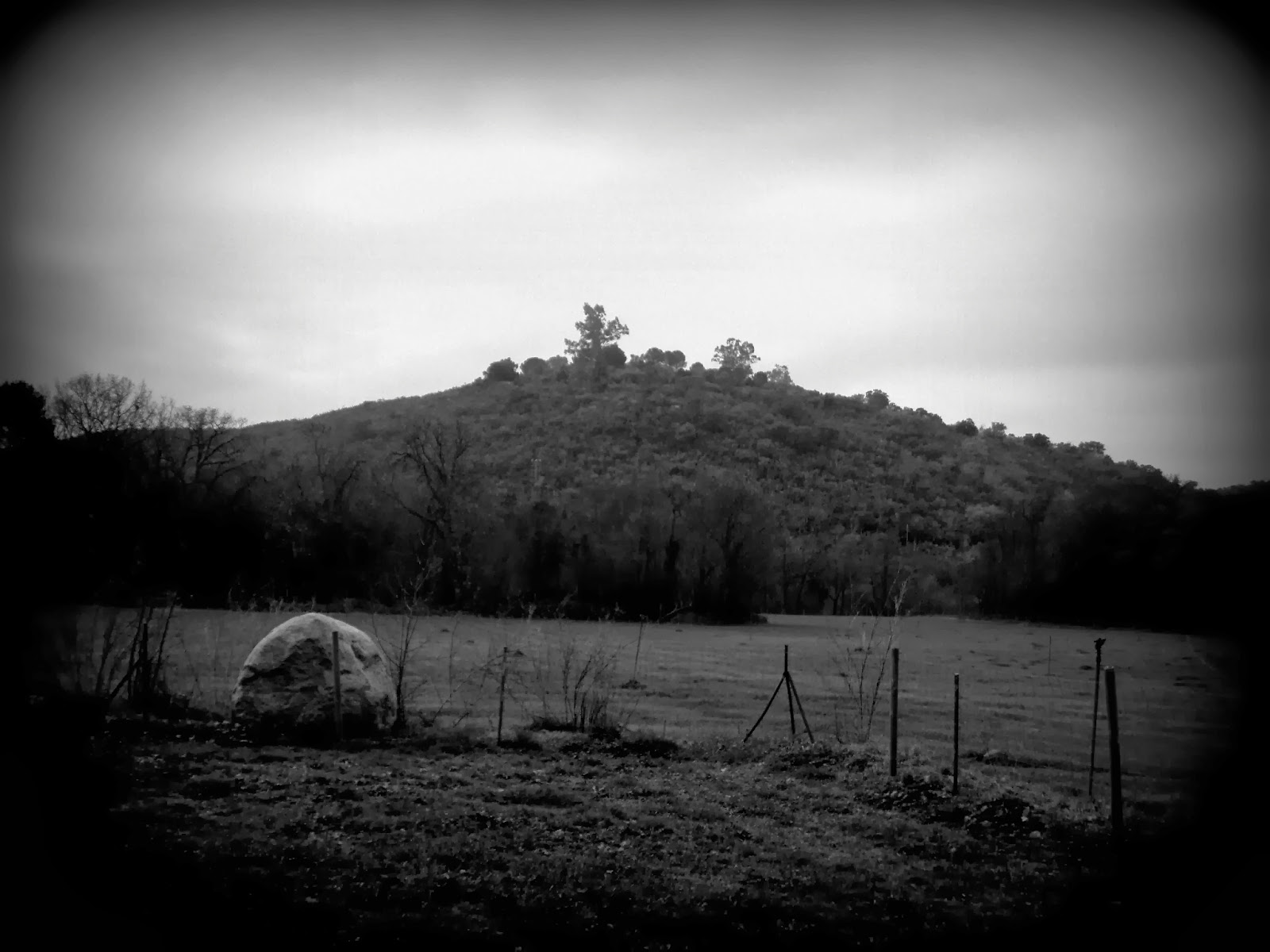 En lo profundo de la noche: FURIA DEL ALBA