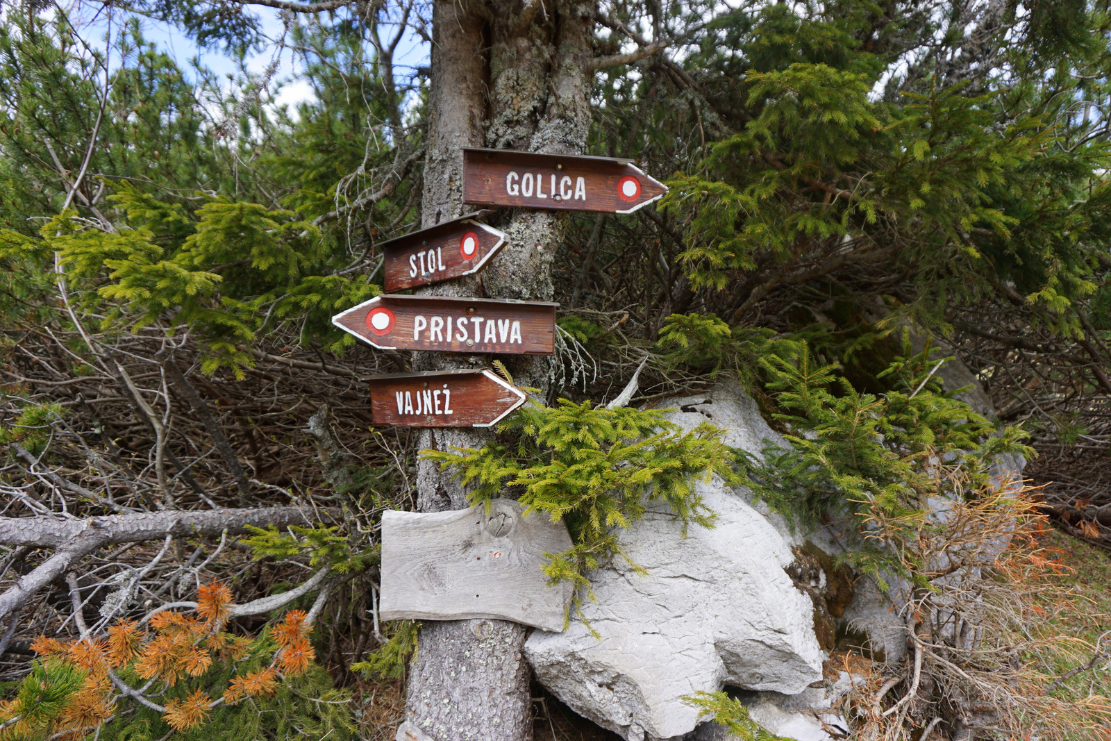 Jelenkamen - Majdag: Glej naprej, samo naprej...Trilobit, Stamare, Ride ...