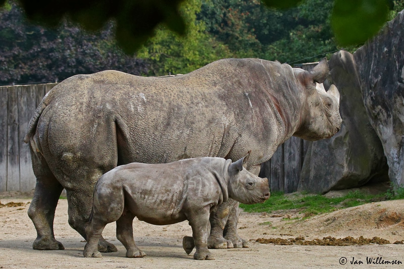 Jan Willemsen Fotografie: ZOO Krefeld (Germany)