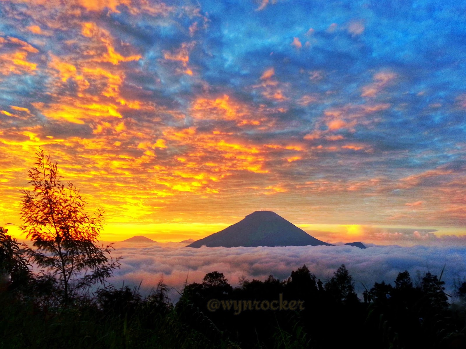 Gokil 50+ Pemandangan Warna Kuning