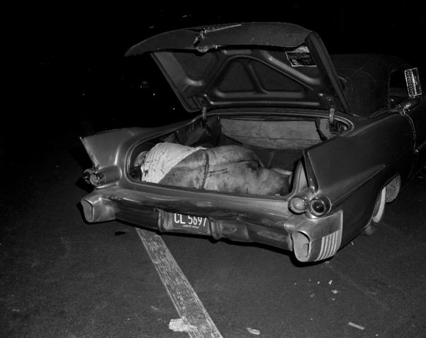 Mad Sam Destefano chains man to radiator then makes his family urinate ...