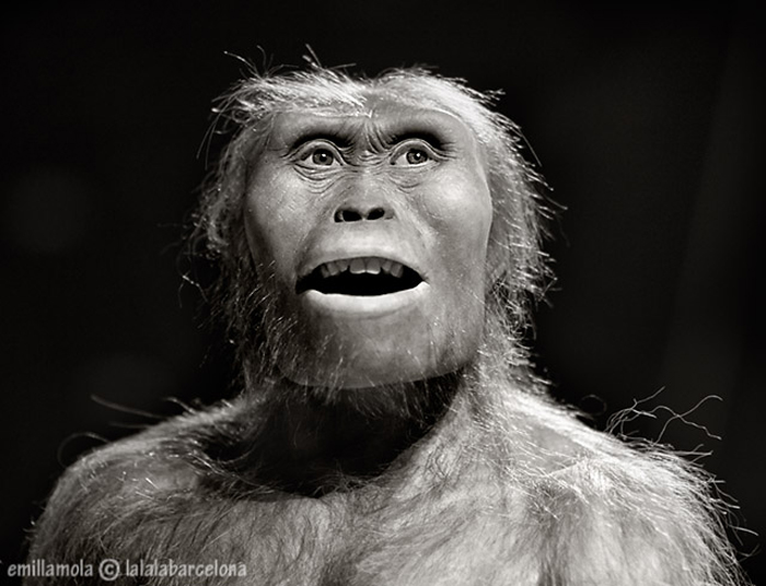 Enhebrados: Los sueños del hombre-mono