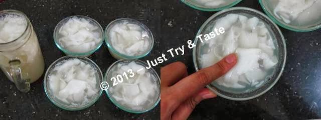 Agar-Agar Kelapa Muda | Just Try & Taste