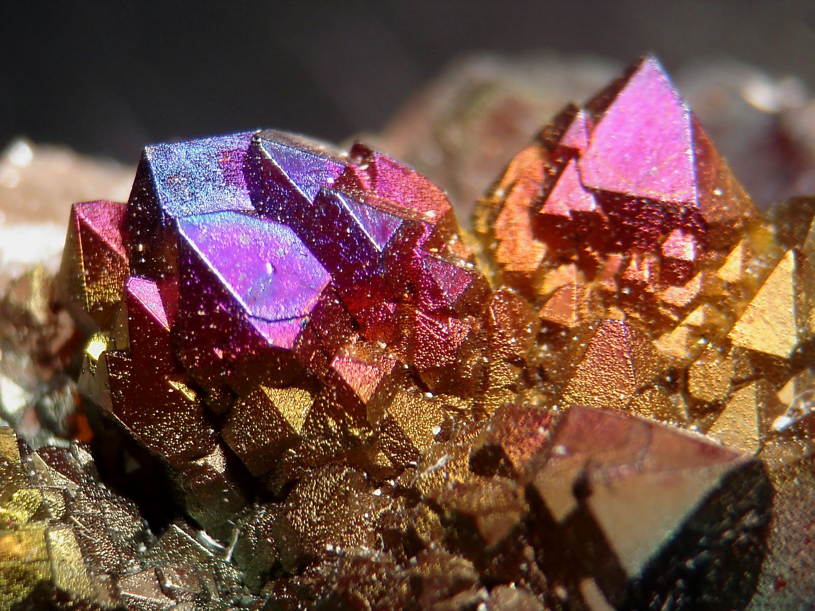 Galería de imágenes: Goethita irisada sobre Cuarzo