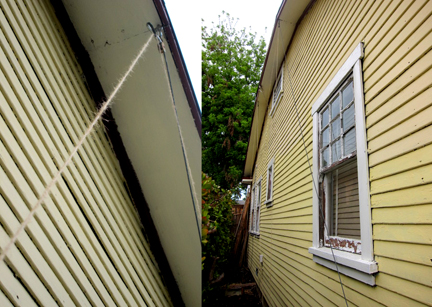 Side Yard Hops Trellis | Root Simple