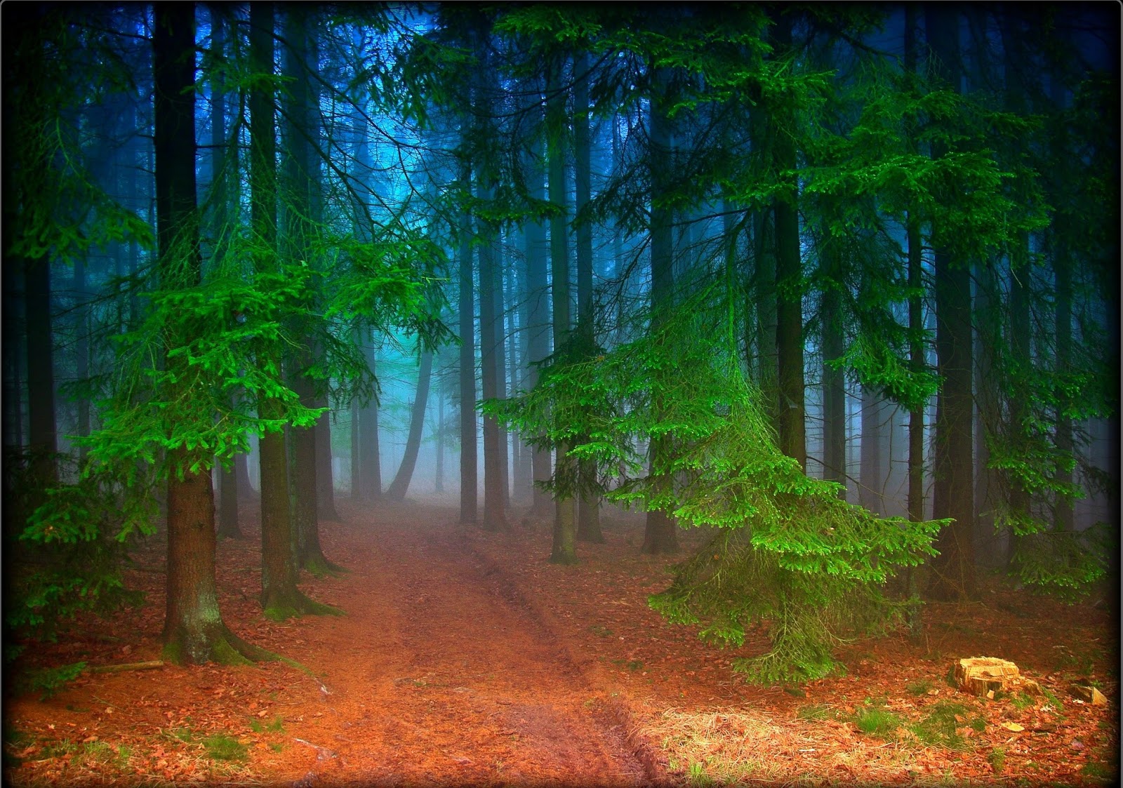 Banco de Imágenes Gratis: 24 fotografías de paisajes naturales del ...