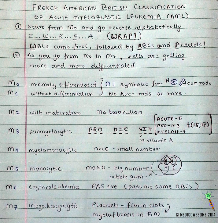 Medicowesome: French American British classification of Acute ...