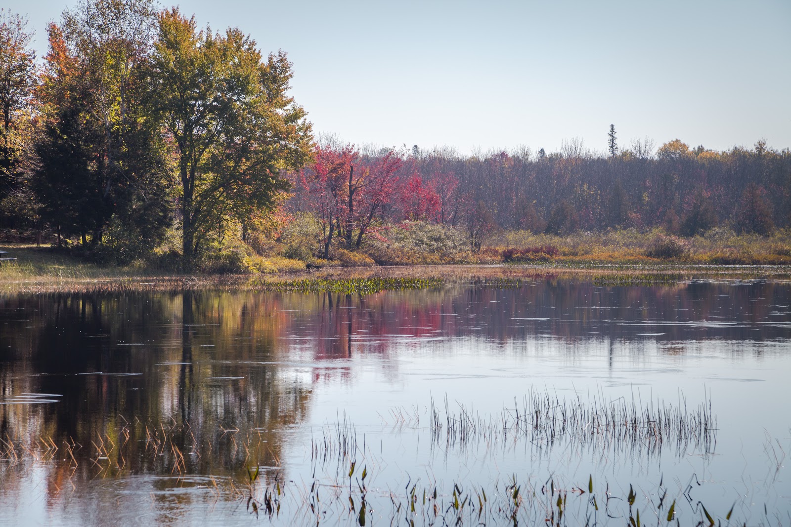 Take a Rest at Restoule Provincial Park - Explore the World with Simon ...