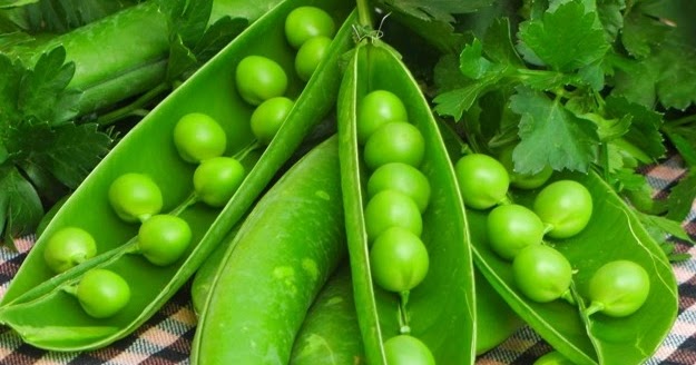 Eixerit com un pèsol