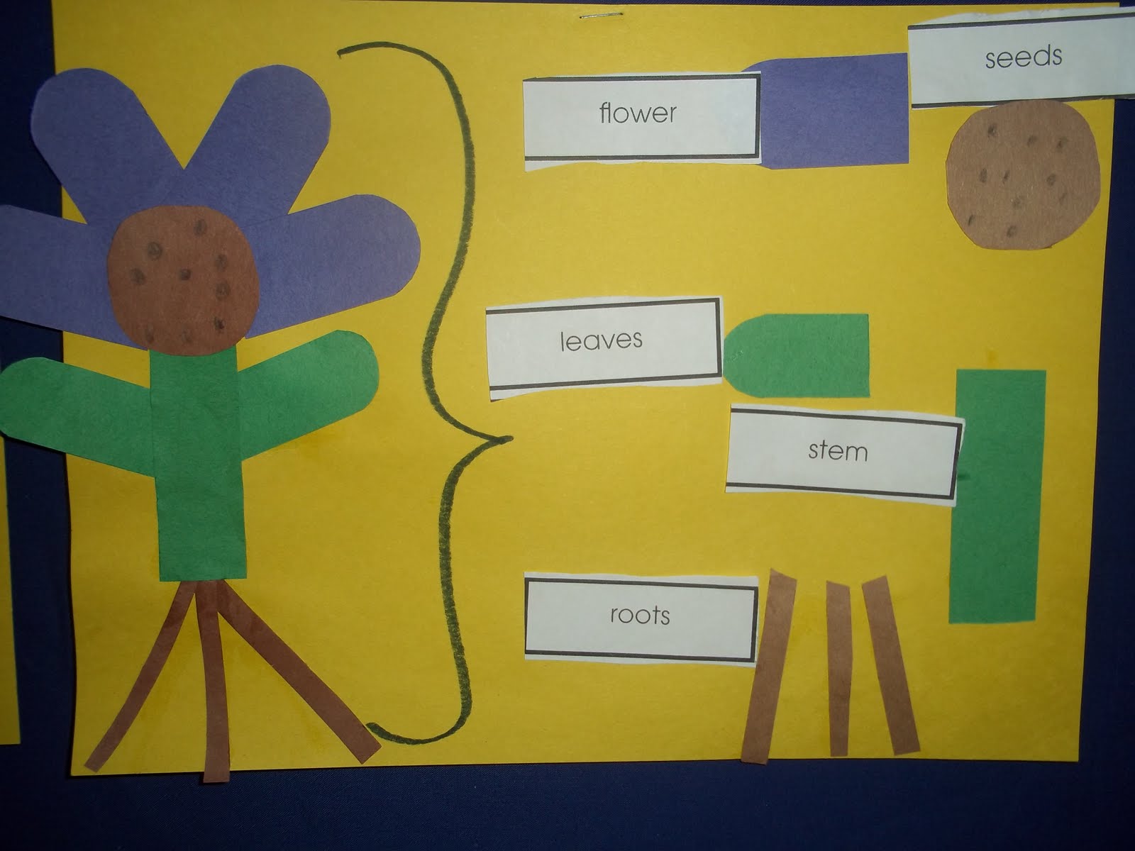 Mrs. Wood's Kindergarten Class: Flower Brace Map