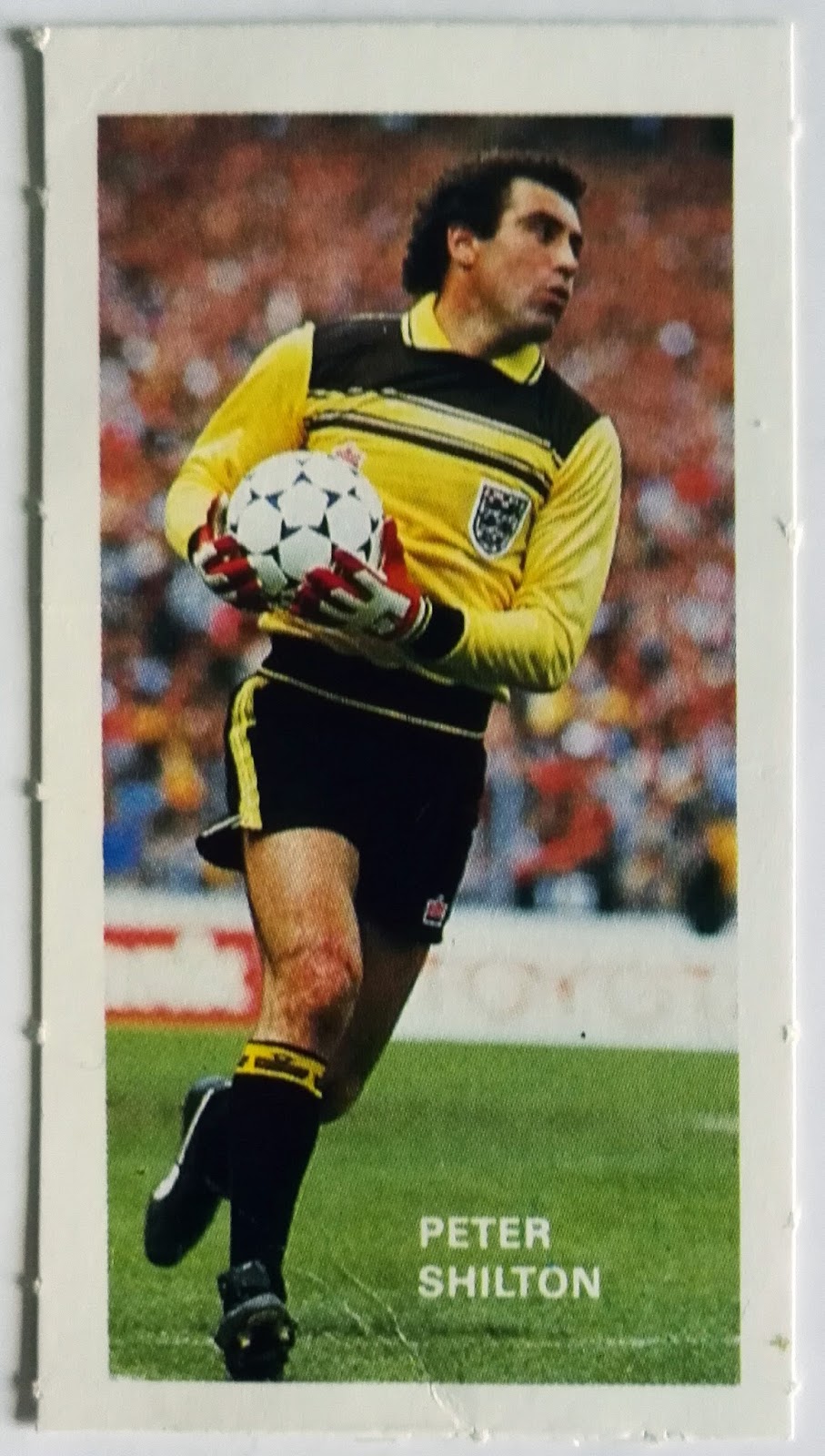 NFFC Cards & Stickers: Shoot's Top 20 All-Stars Peter Shilton