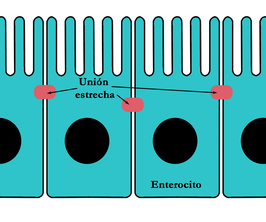 Indignación científica: Mejorando tus defensas