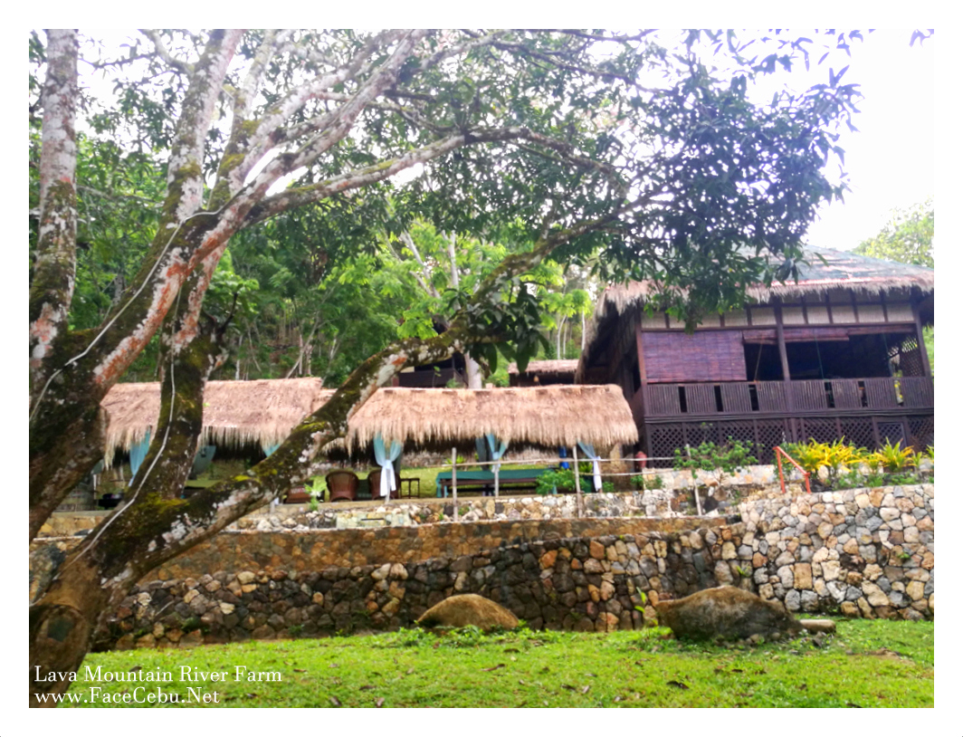 Enjoy Nature While Chilling At Lava Mountain River Farm - Cebu Trending ...