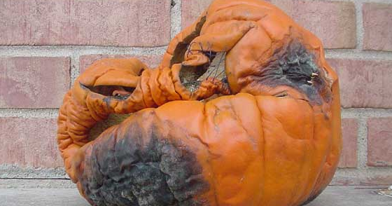 Parametric Pumpkin submissions! - Packages - Dynamo