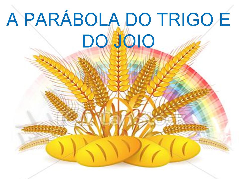 Renata Princess ੴ •٠·˙: 2ª Aula A Parábola do Trigo e do Joio