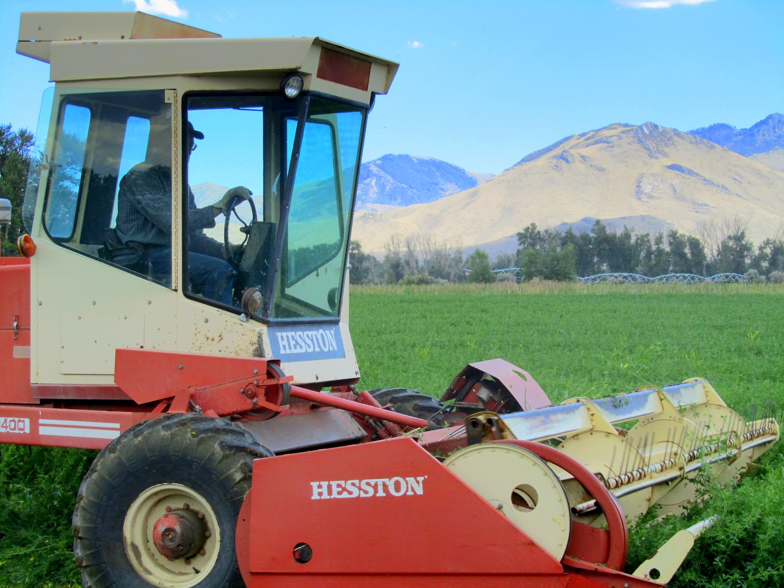 Keeping Focused: Swathing Hay