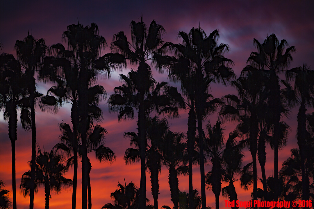 LA Photo: LA Sunset
