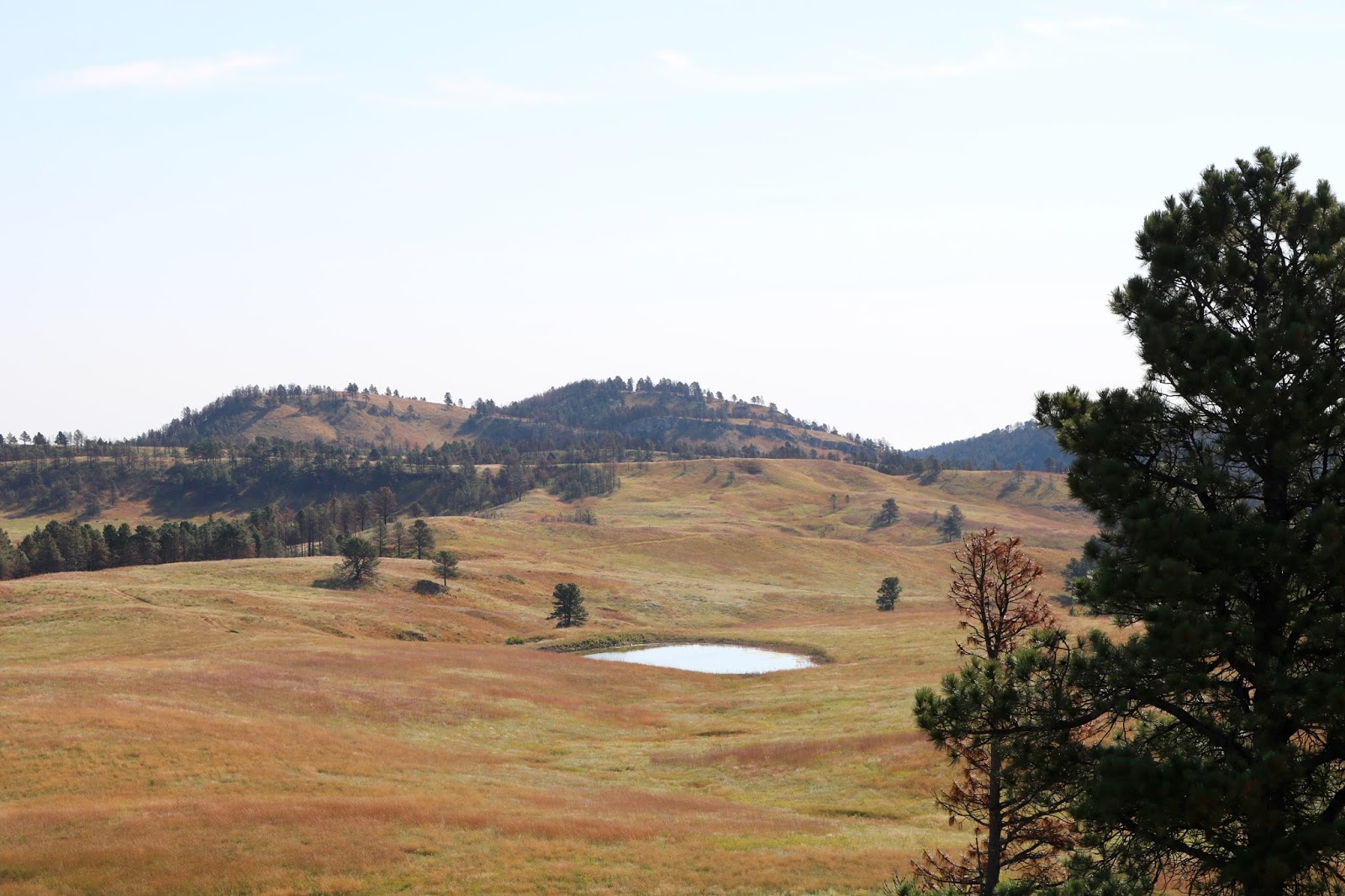 Amy's Creative Pursuits: Our Fall Vacation to South Dakota, Day 6 ...