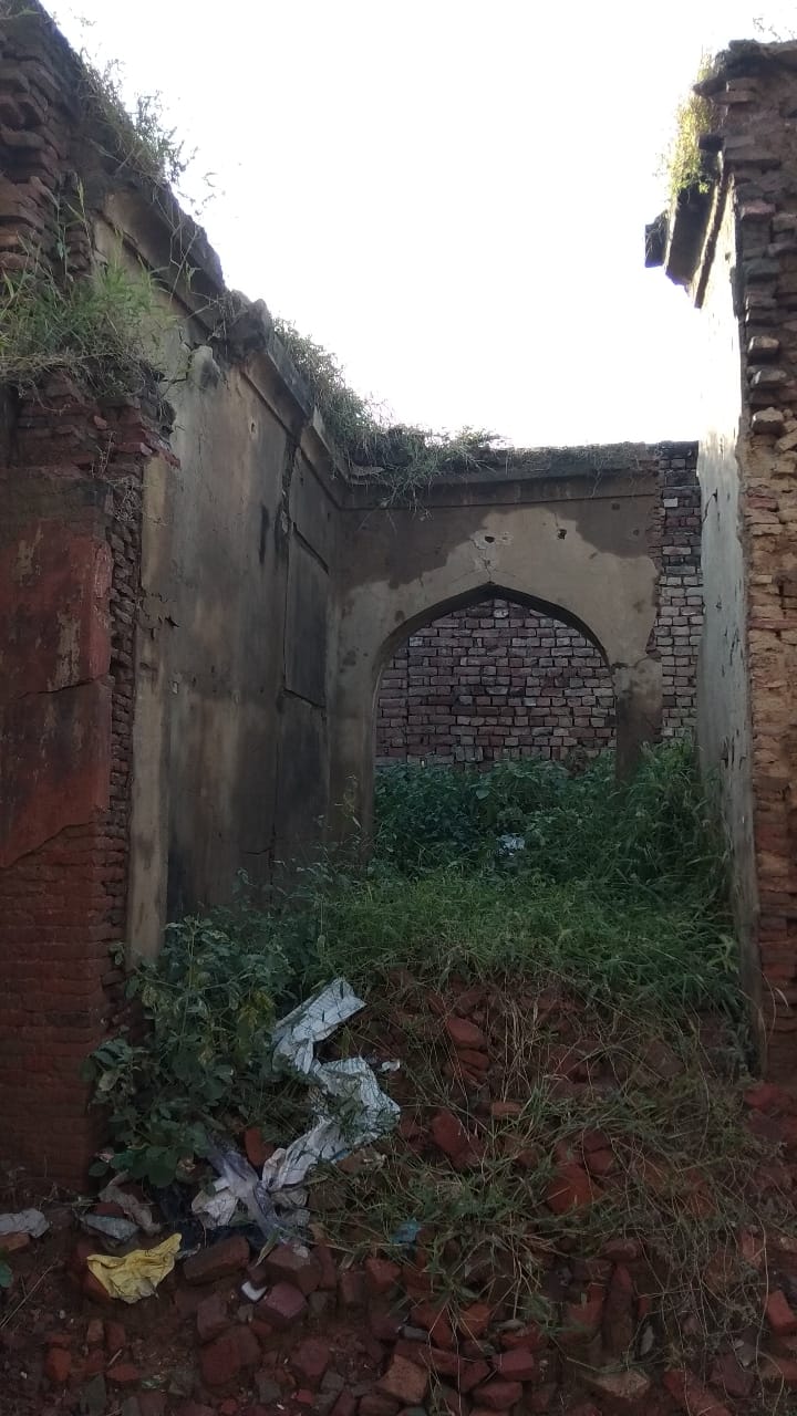 SA Site Cover: The Ruins of Payal, Ludhiana by Rattan Kaur Rainu