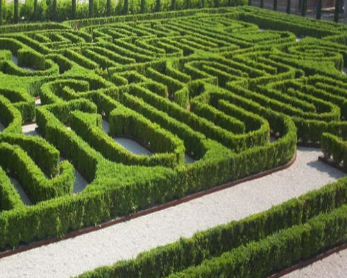 El Laberinto de Borges en San Rafael