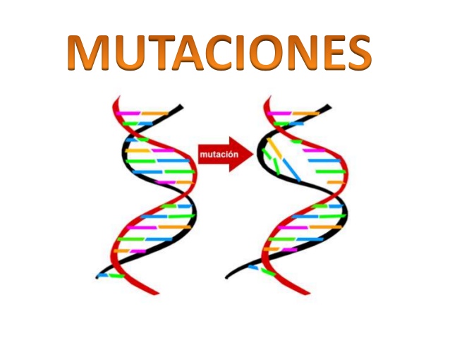 Blog de Biología y Ciencias: Mutaciones