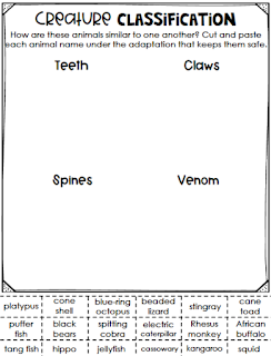 Paiges of Learning: Spotlight on Steve Jenkins!