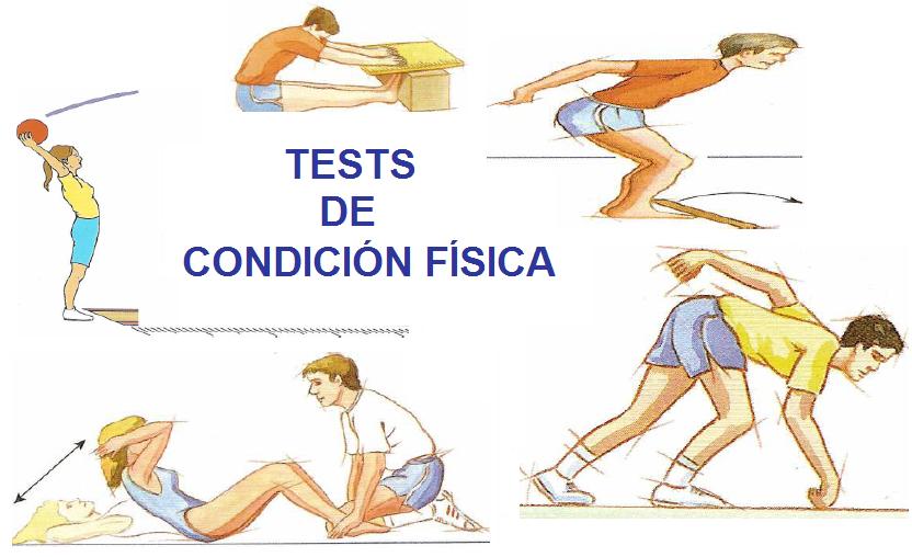 IES SIERRA PALOMERA: TESTS DE CONDICIÓN FÍSICA