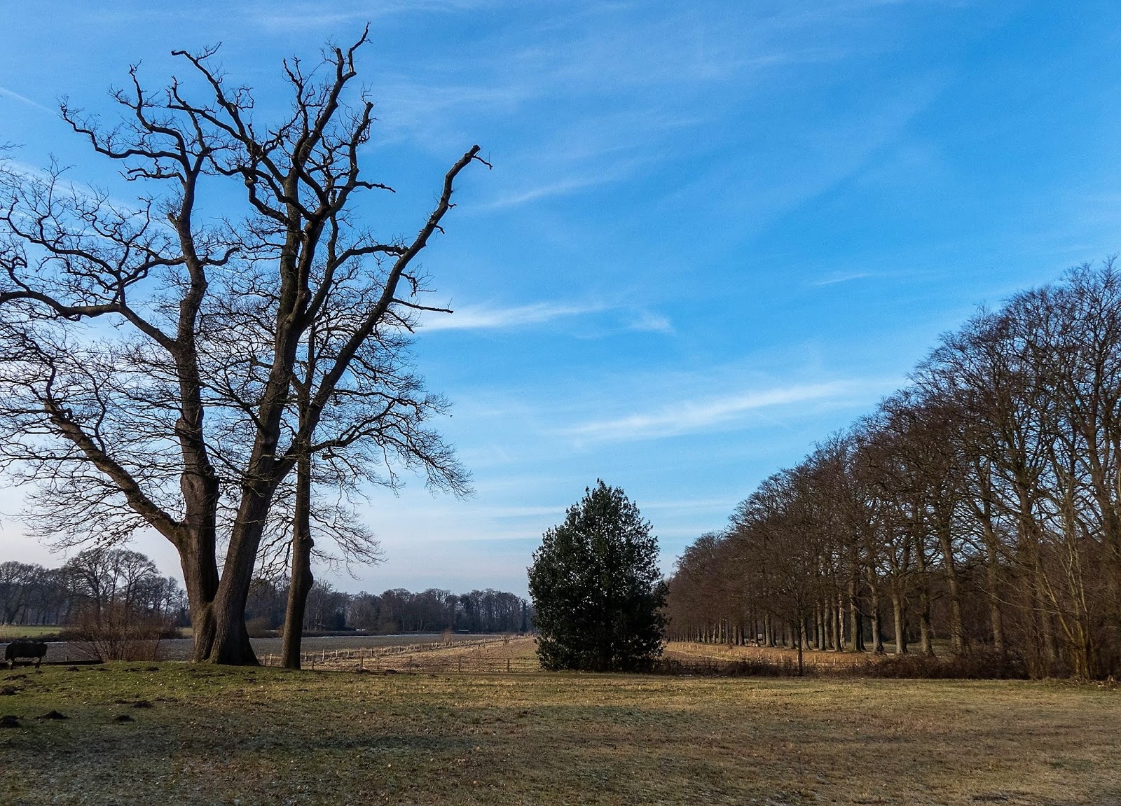 Mooiste Routes: Buiten Bussum (Bussum - Noord-Holland)