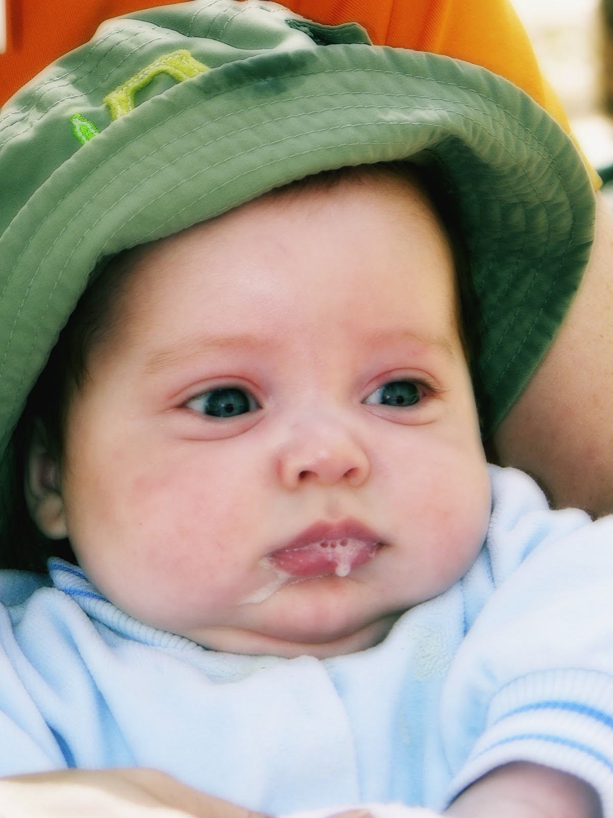 French Vocabulary Illustrated: bave