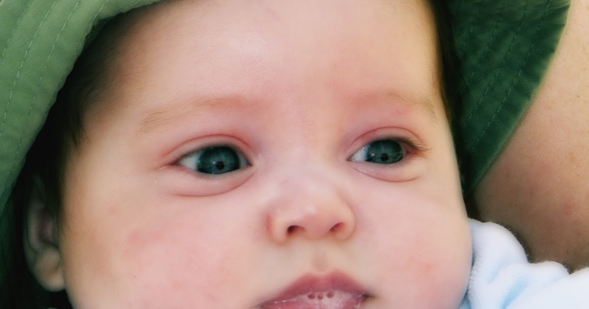 French Vocabulary Illustrated: bave