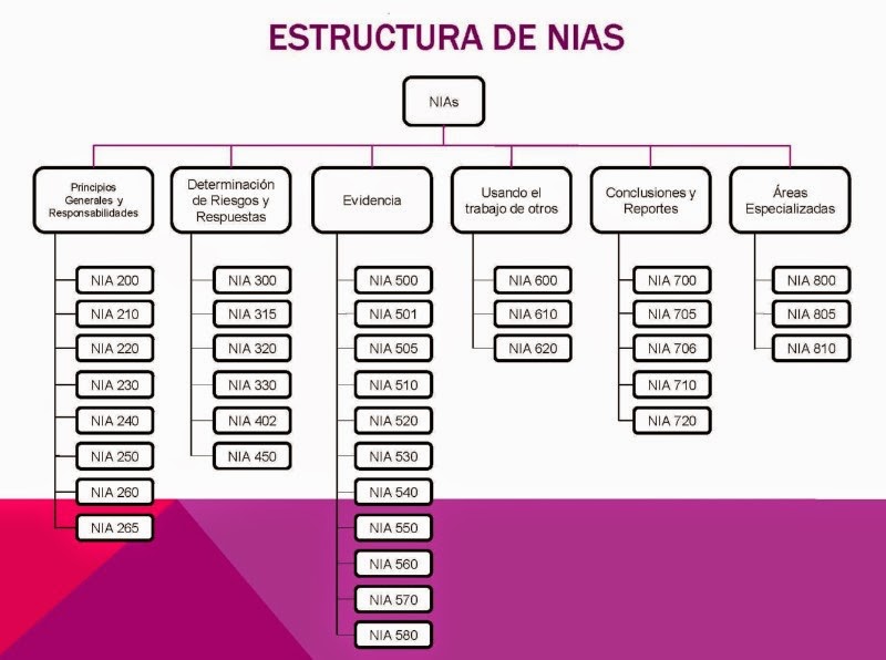Normas Internacionales de Auditoría II: ¿Que son las Normas ...