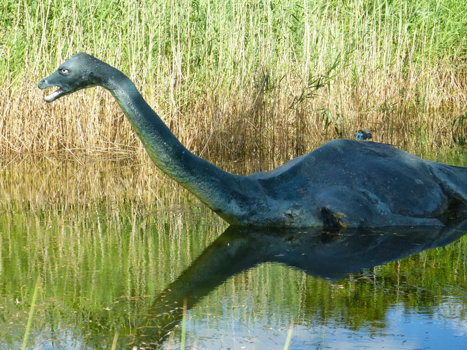 Clutter-Chaos Aaron&co: Looking For Nessy :) Loch Ness