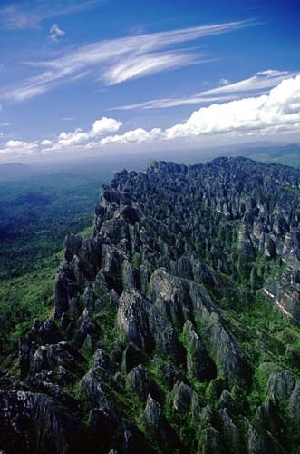 El saber no ocupa lugar: Sitios raros e increibles