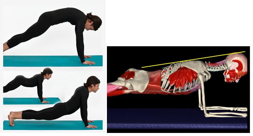 Träning för en PT: Plankan