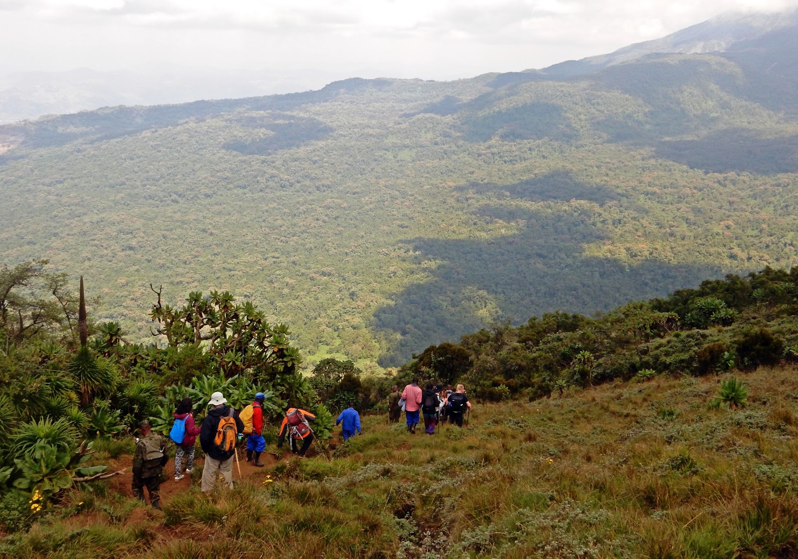 the viewing deck: Rwanda's Mt. Bisoke Crater Lake Day-Hike (3,711masl)