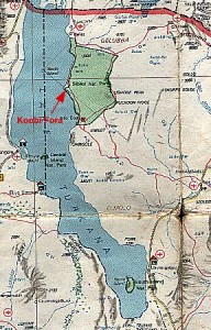 Dirk Drubbel: De weg naar Homo sapiens ( deel 1 : Tijdschaal & Taxonomie)