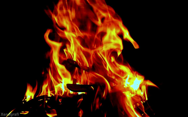 Xenografi: Menangkap Lidah Api