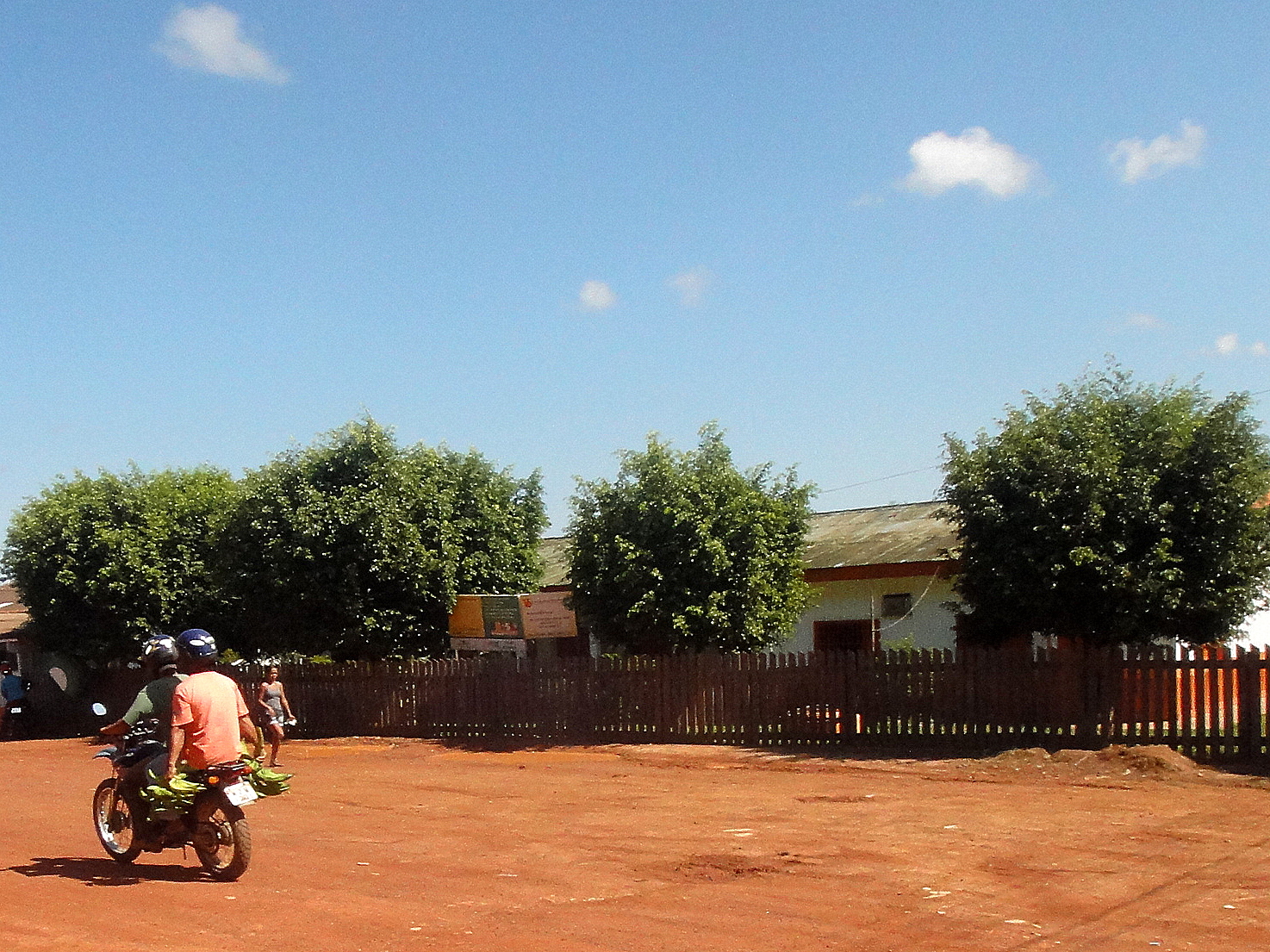 come-se: Banana-comprida, pacova, pacovã, pacoba, pacovão, banana-da ...