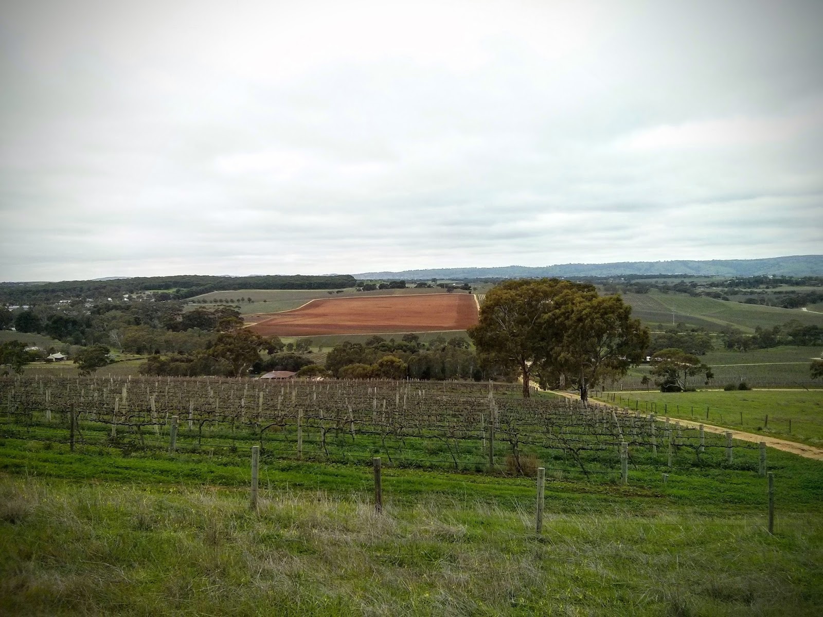 WineWalkabout: A day on the farm, Hentley Farm Barossa Valley