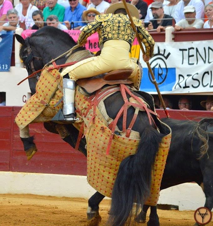 Toreo en Red Hondo: ¿QUÉ ES UN TORO BRAVO? ¿Y ENCASTADO?