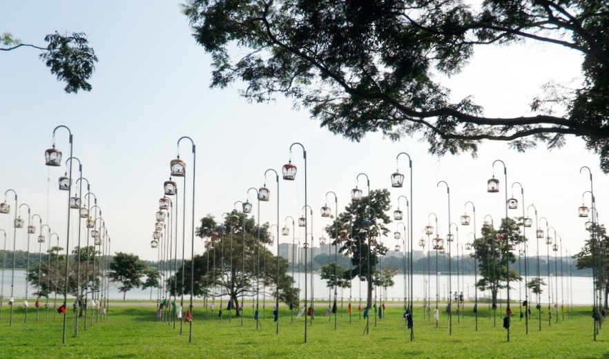 Penggemar seni suara merbuk /perkutut Thailand/Siam