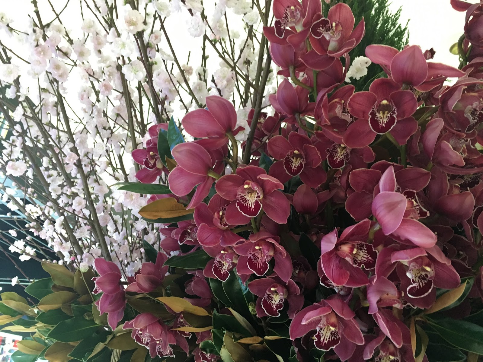 Urban Flower: David Jones Sydney 2016 Flower Show