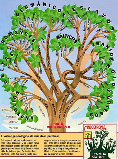 Alemania entre bastidores: Indoeuropeo y Arios