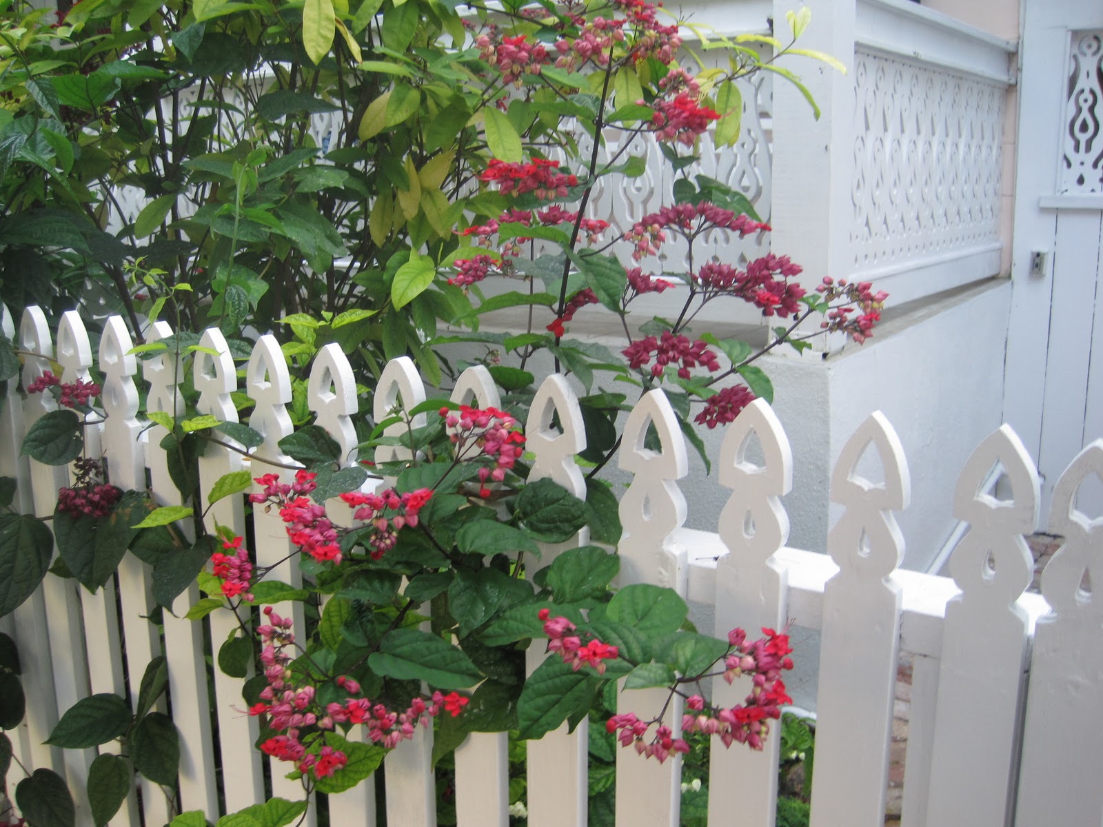 Pretty Old Houses: Picket Fences of Key West