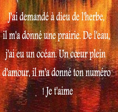 phrases et paroles d'amour en image