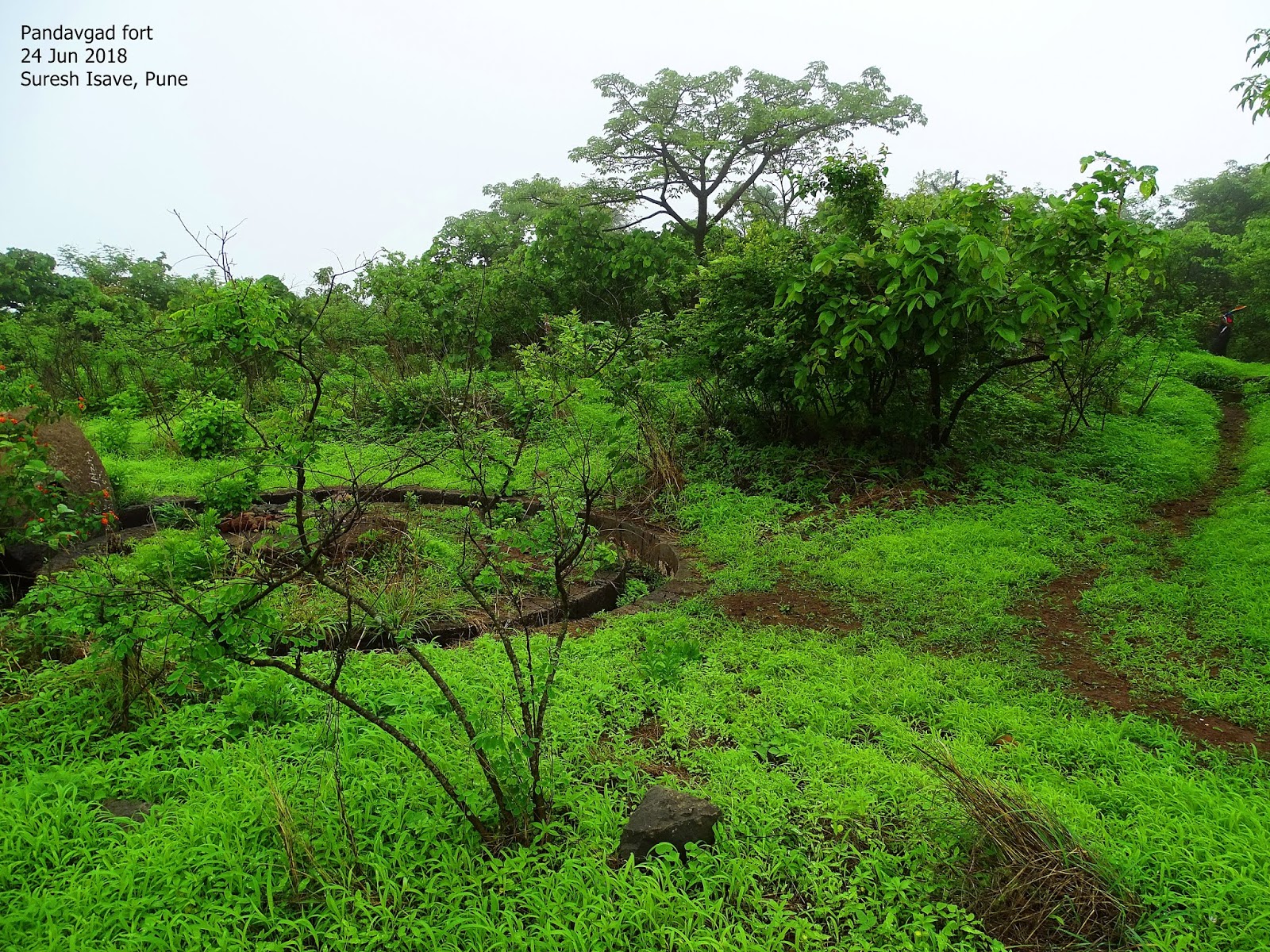 Treks in Sahyadri: Pandavgad Fort Trek