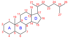 KIMIA BAHAN ALAM: November 2012