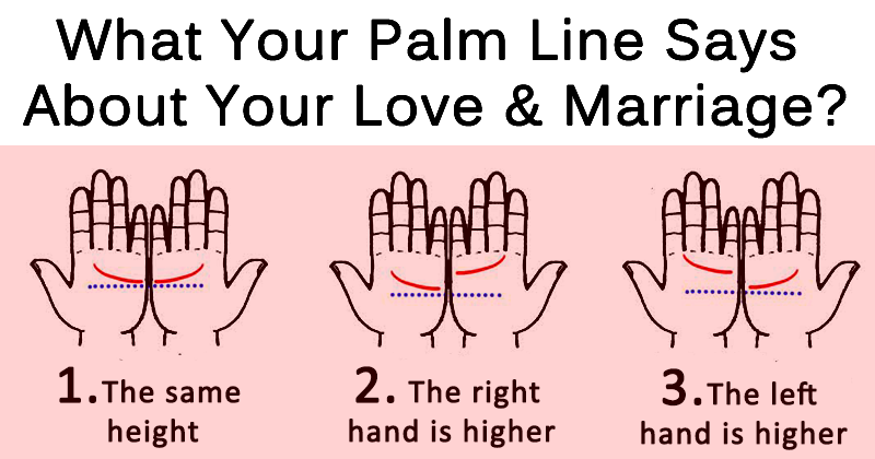 Health Tips and Interesting Stories: This Is What Your Palm Line Says ...