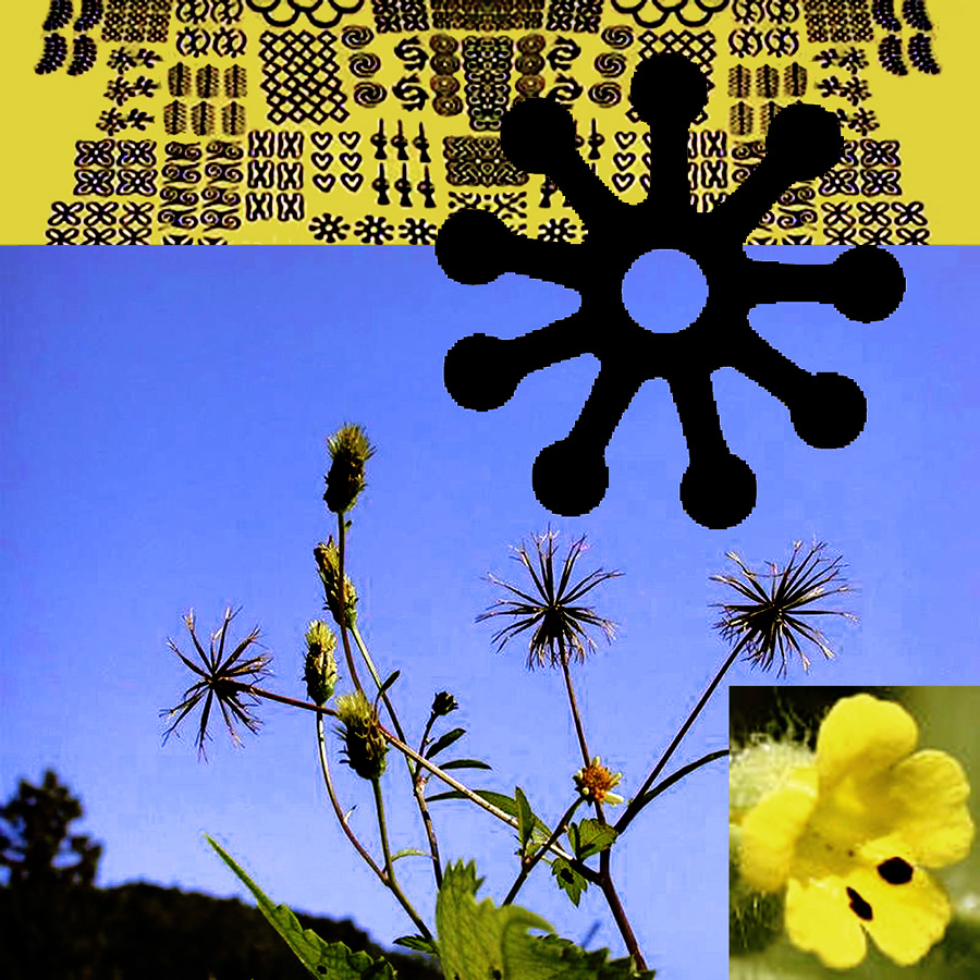 Afro Africa: Fofoo – Simbologia Adinkra