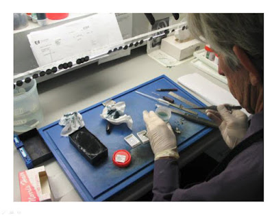 Dermatopathology Made Simple - Inflammatory: Skin Stains